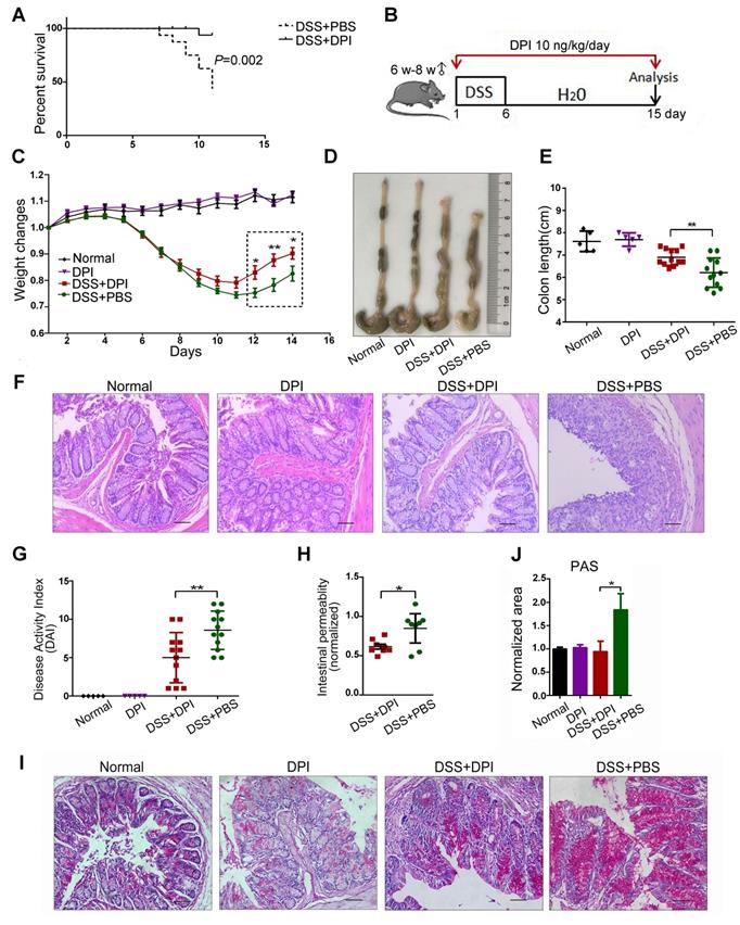 An ultralow dose of the NADPH oxidase inhibitor diphenyleneiodonium ...