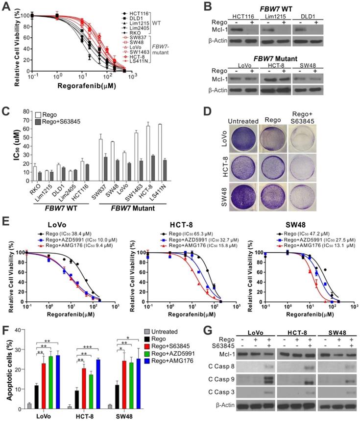 Mcl-1 inhibition overcomes intrinsic and acquired regorafenib ...