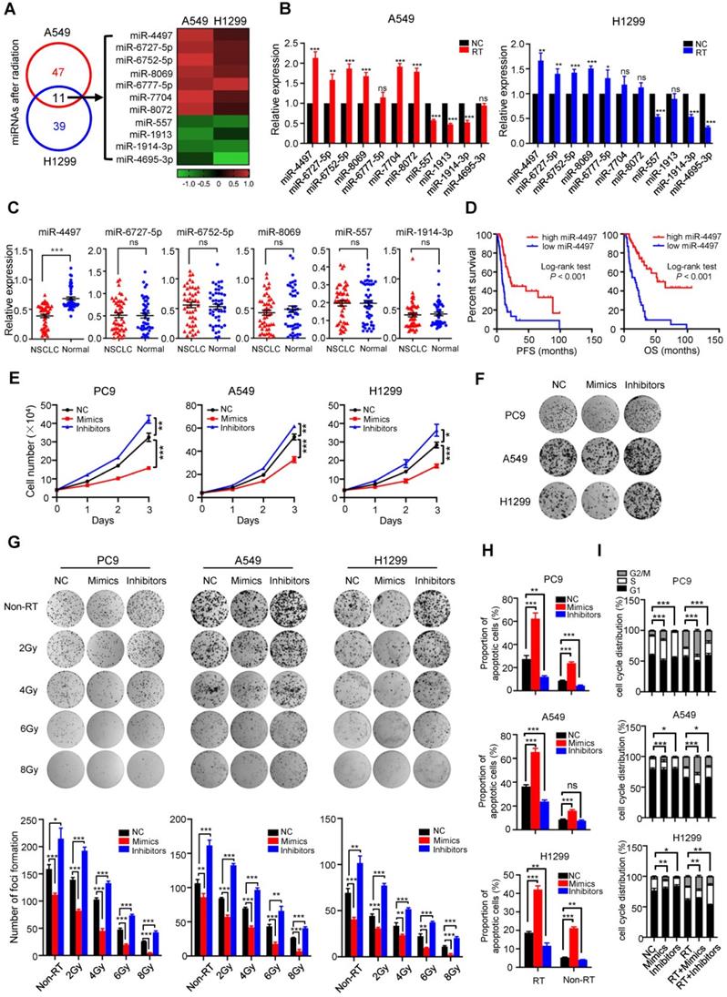 MED13L integrates Mediator-regulated epigenetic control into lung ...