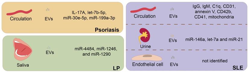 Extracellular vesicles in Inflammatory Skin Disorders: from ...