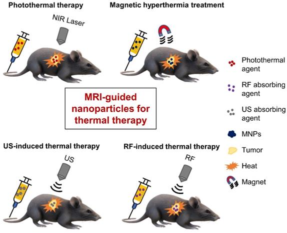 MRI-traceable theranostic nanoparticles for targeted cancer treatment