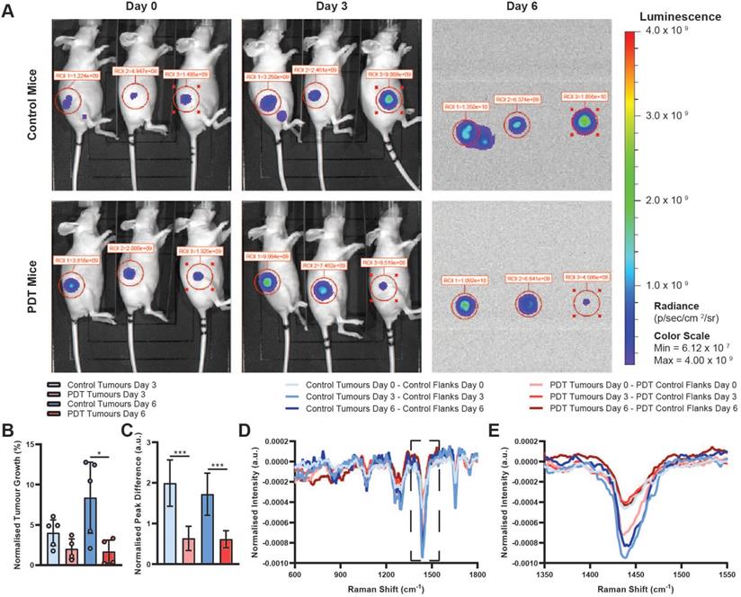 Integrated photodynamic Raman theranostic system for cancer diagnosis ...
