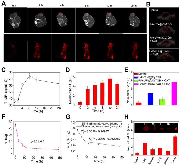Eradication of solid tumors by chemodynamic theranostics with H2O2 ...