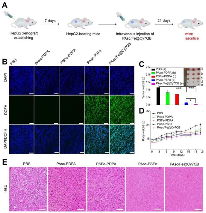 Eradication of solid tumors by chemodynamic theranostics with H2O2 ...