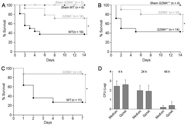 Granzyme A inhibition reduces inflammation and increases survival ...