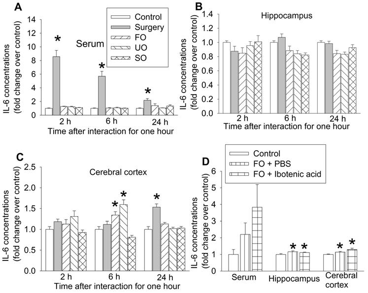 Paraventricular thalamic nucleus plays a critical role in consolation ...