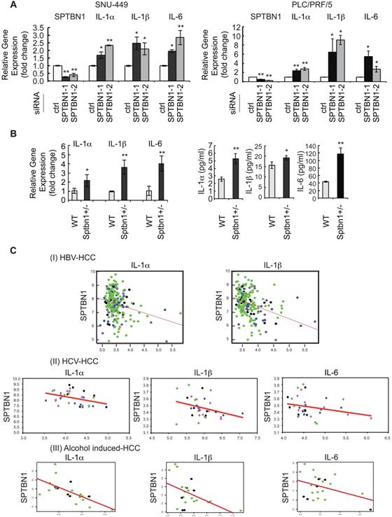 SPTBN1 inhibits inflammatory responses and hepatocarcinogenesis via the ...
