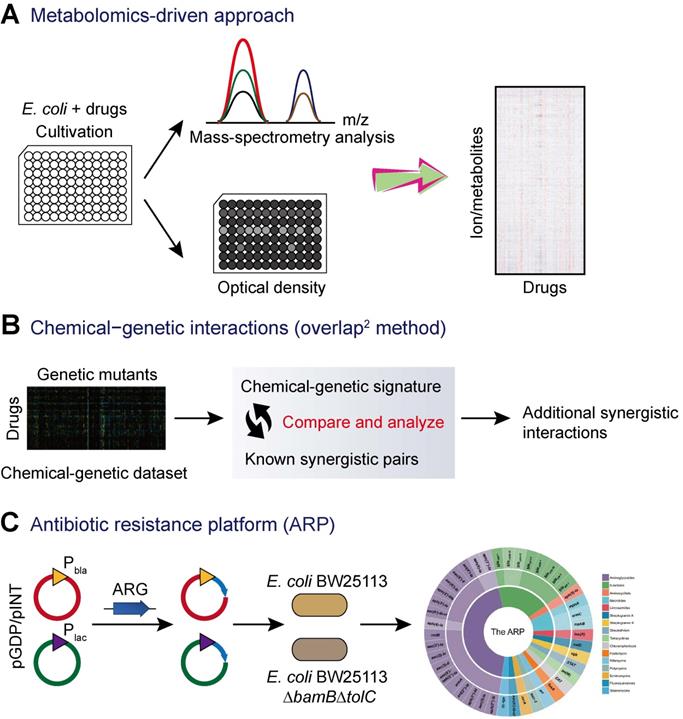 Drug repurposing for next-generation combination therapies against ...
