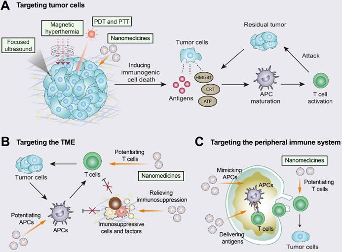 Turning cold tumors into hot tumors by improving T-cell infiltration