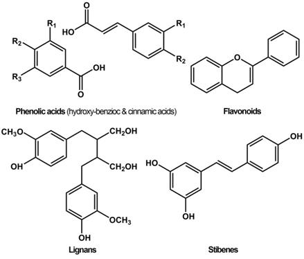 Metal-phenolic networks: facile assembled complexes for cancer theranostics
