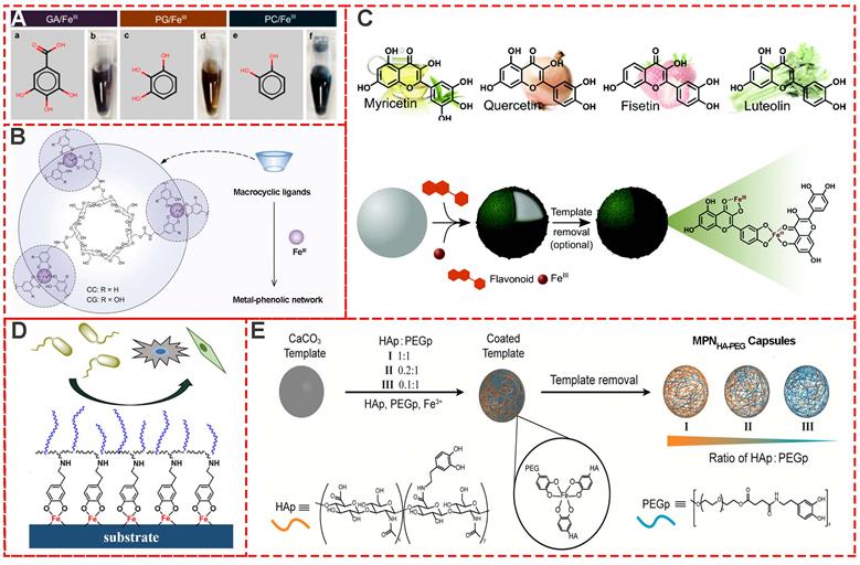 Metal-phenolic networks: facile assembled complexes for cancer theranostics