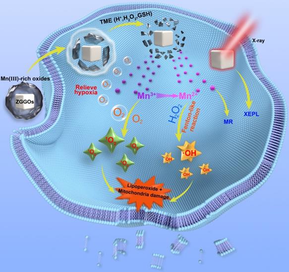 Mn3+-rich oxide/persistent luminescence nanoparticles achieve light ...
