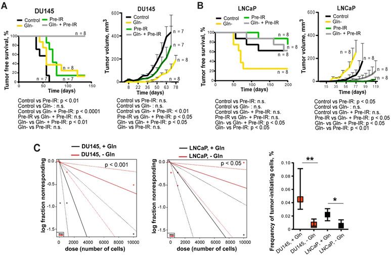 GLS-driven glutamine catabolism contributes to prostate cancer ...