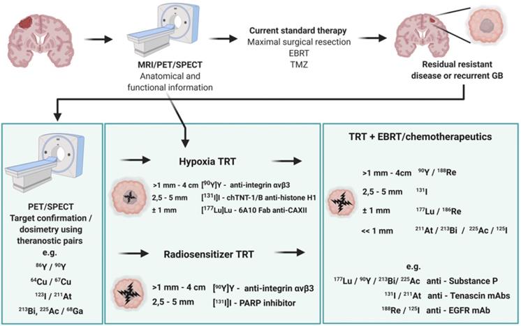A perspective on the radiopharmaceutical requirements for imaging and ...