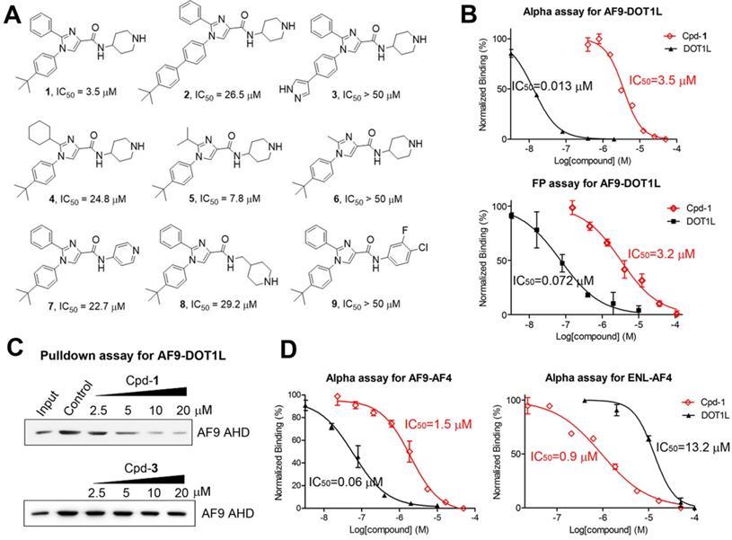 Small-molecule inhibitor of AF9/ENL-DOT1L/AF4/AFF4 interactions ...