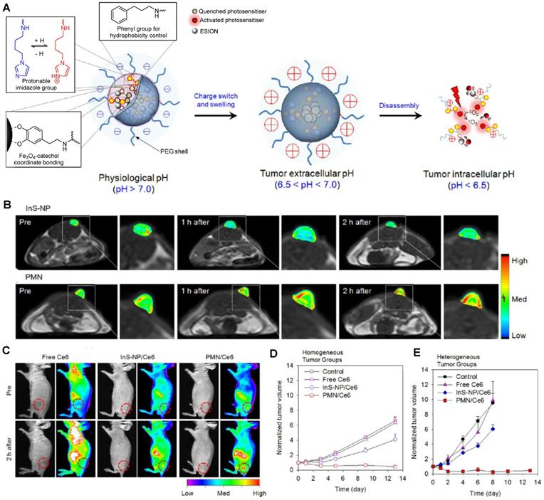 Smart magnetic resonance imaging-based theranostics for cancer