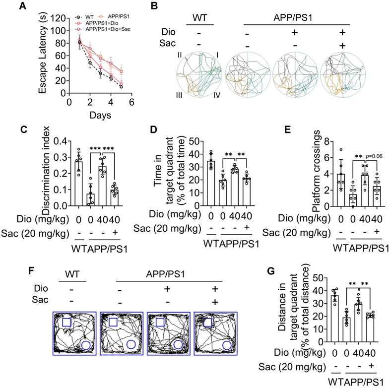 Activating AhR alleviates cognitive deficits of Alzheimer's disease ...