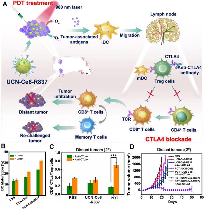 Recent advances in nanomedicines for photodynamic therapy (PDT)-driven ...