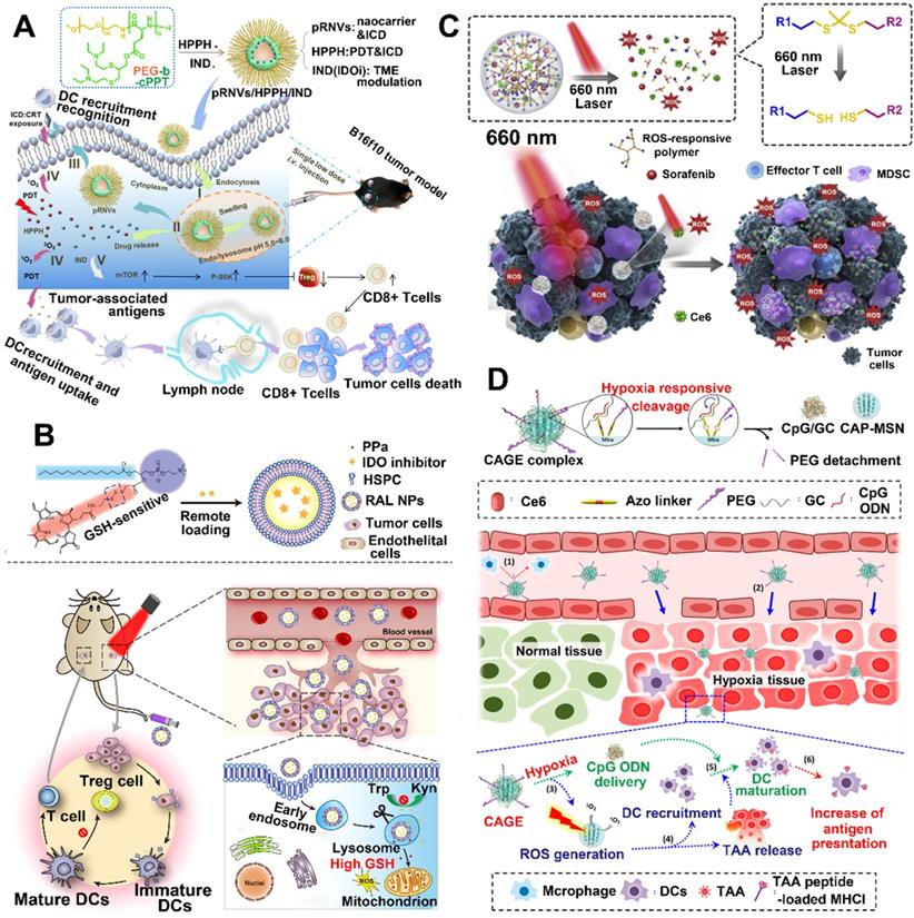 Recent advances in nanomedicines for photodynamic therapy (PDT)-driven ...