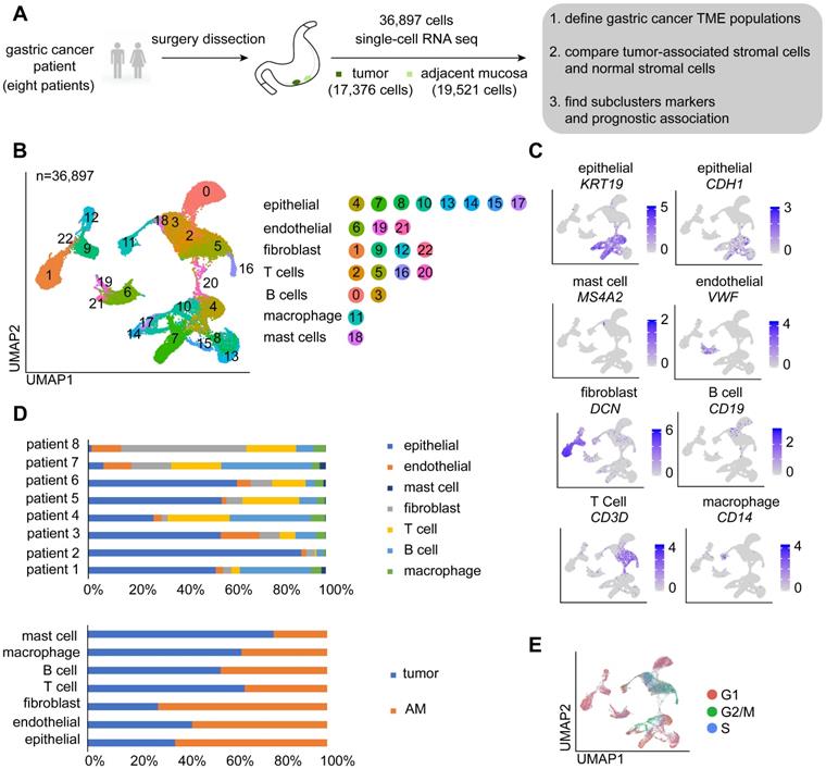 Single-cell RNA sequencing reveals a pro-invasive cancer-associated ...