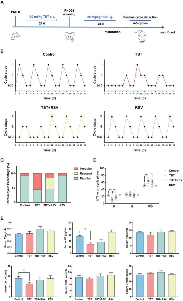 Resveratrol ameliorates polycystic ovary syndrome via transzonal ...