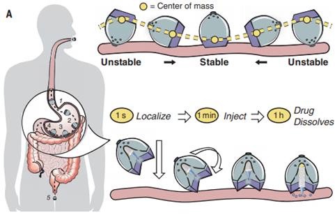 Oral delivery of protein and peptide drugs: from non-specific ...