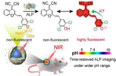 Activated molecular probes for enzyme recognition and detection