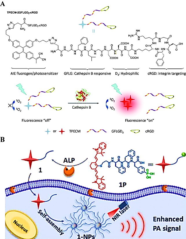 Activated molecular probes for enzyme recognition and detection