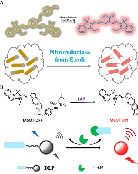 Activated molecular probes for enzyme recognition and detection