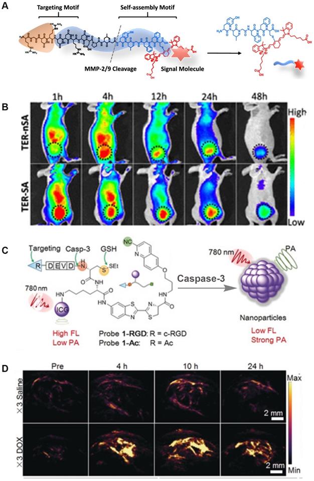 Activated molecular probes for enzyme recognition and detection