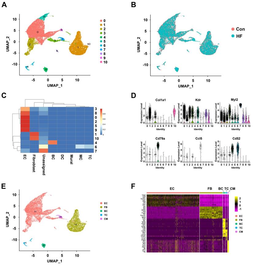 A multi-omics approach to identify molecular alterations in a mouse ...