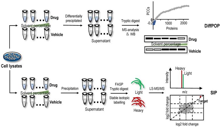 An update of label-free protein target identification methods for ...