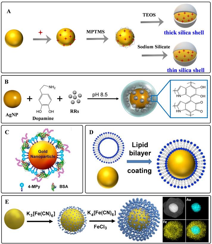 SERS Tags for Biomedical Detection and Bioimaging