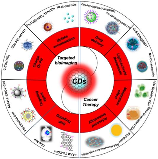 Recent progress of carbon dots in targeted bioimaging and cancer therapy