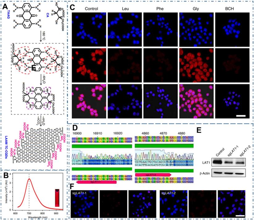 Recent progress of carbon dots in targeted bioimaging and cancer therapy