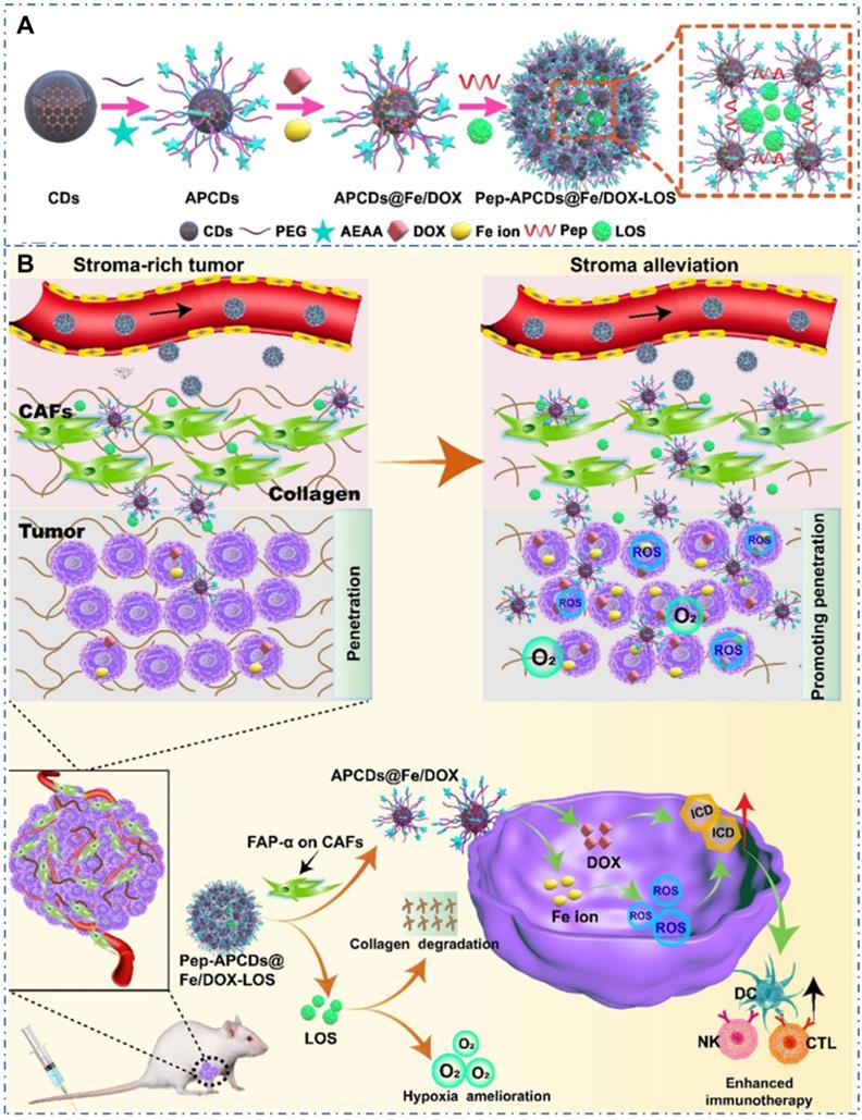 Recent progress of carbon dots in targeted bioimaging and cancer therapy