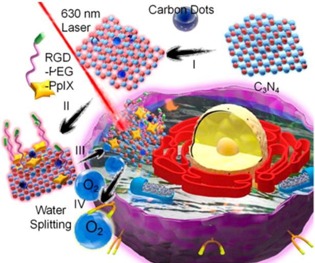 Recent progress of carbon dots in targeted bioimaging and cancer therapy