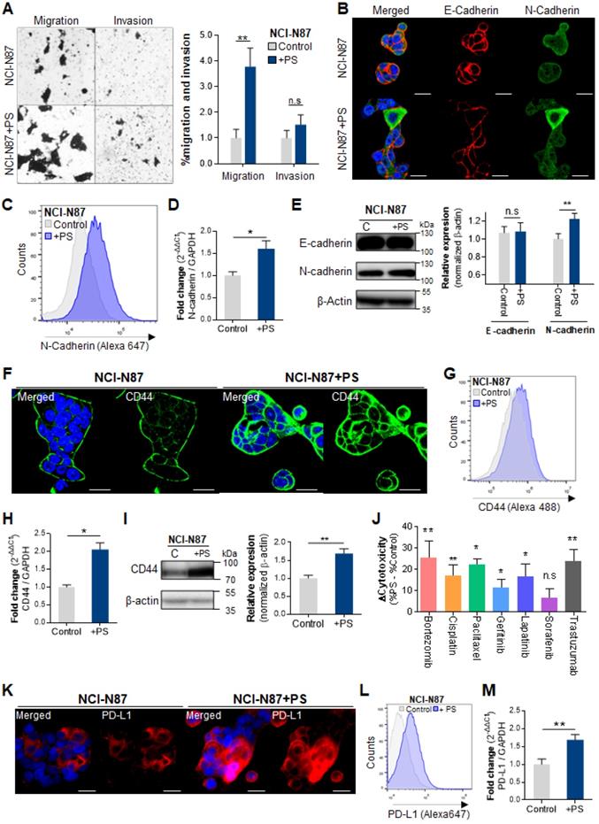 Enhanced ASGR2 by microplastic exposure leads to resistance to therapy ...