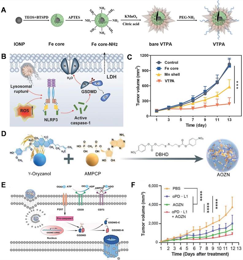 Pyroptosis in inflammatory diseases and cancer