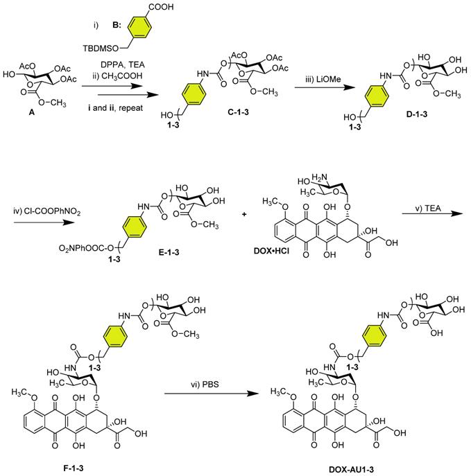Ultrasound-directed enzyme-prodrug therapy (UDEPT) using self ...