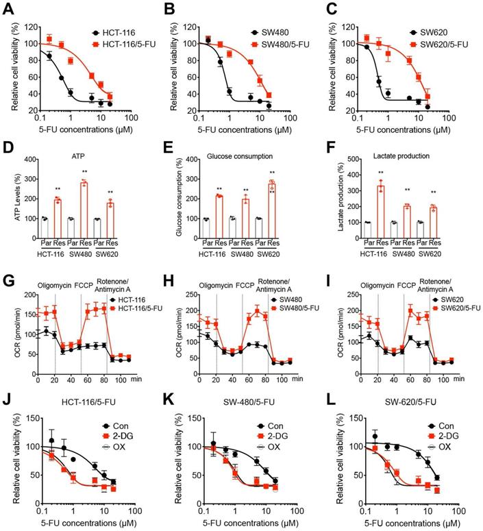 N6-methyladenosine-mediated LDHA induction potentiates chemoresistance ...