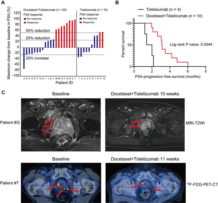 Docetaxel remodels prostate cancer immune microenvironment and enhances ...