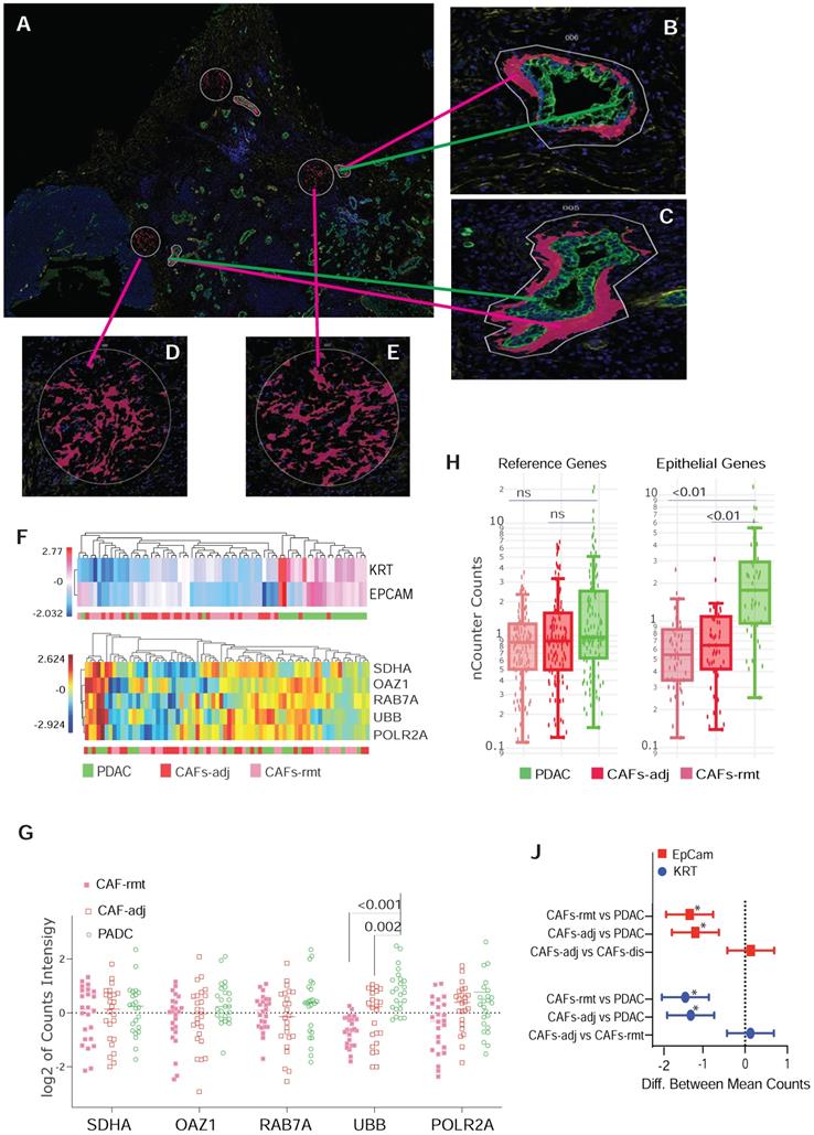 Single-cell profiling of microenvironment components by spatial ...
