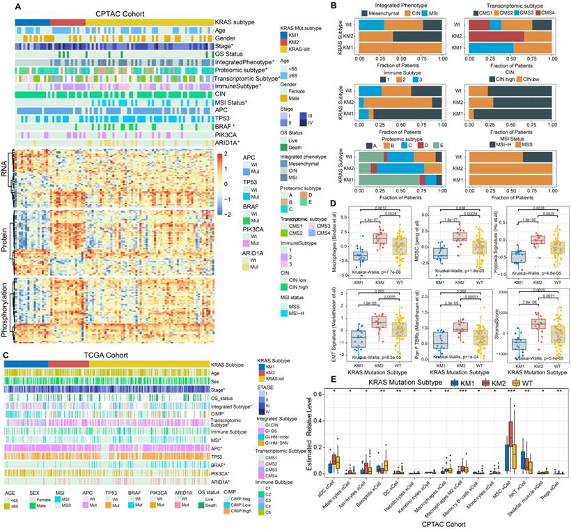 Integrated multi-omics characterization of KRAS mutant colorectal cancer