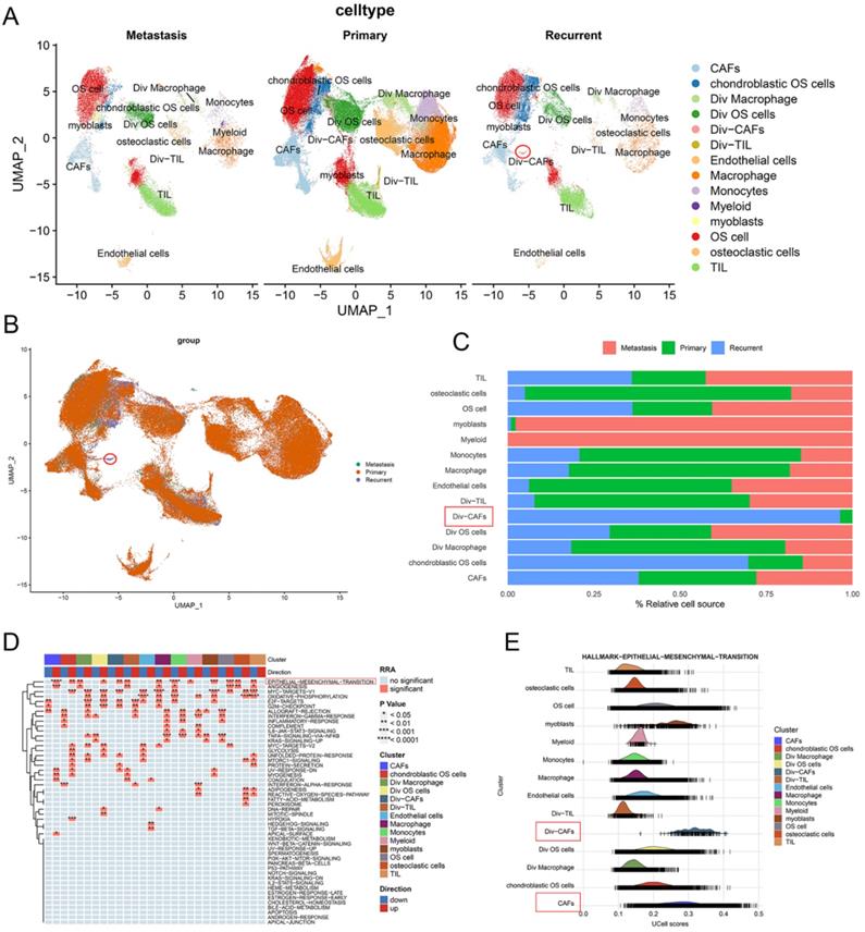 Single-cell transcriptomics reveals the regulative roles of cancer ...