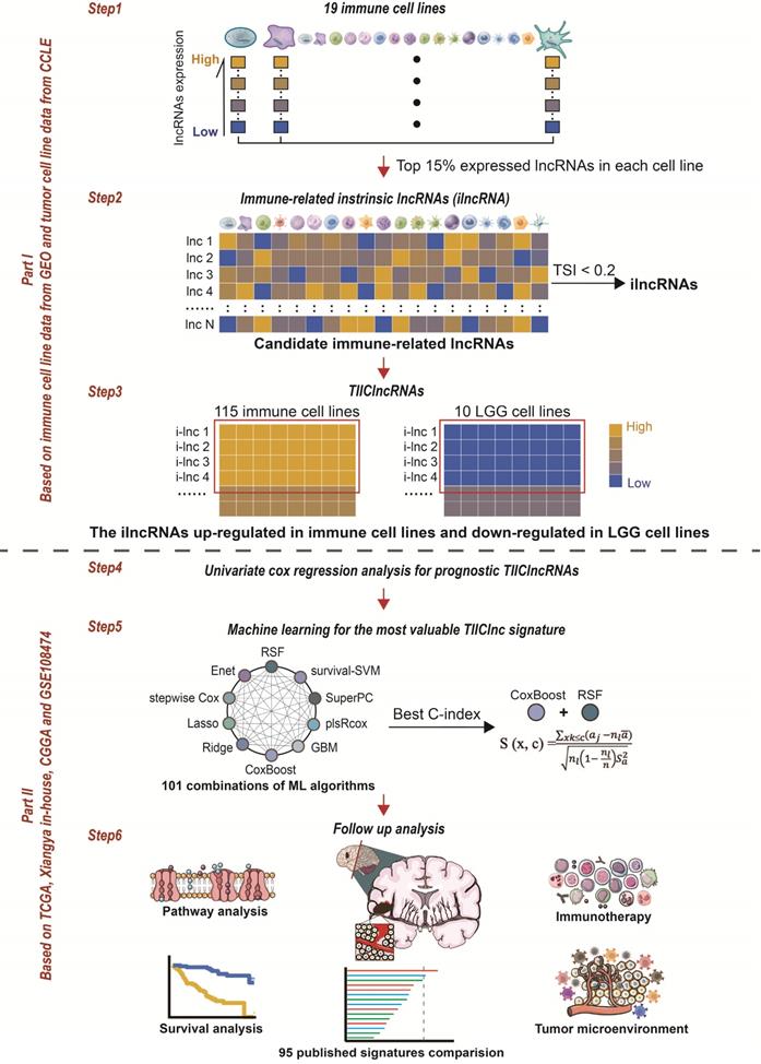 Machine learning-based identification of tumor-infiltrating immune cell-associated lncRNAs for ...