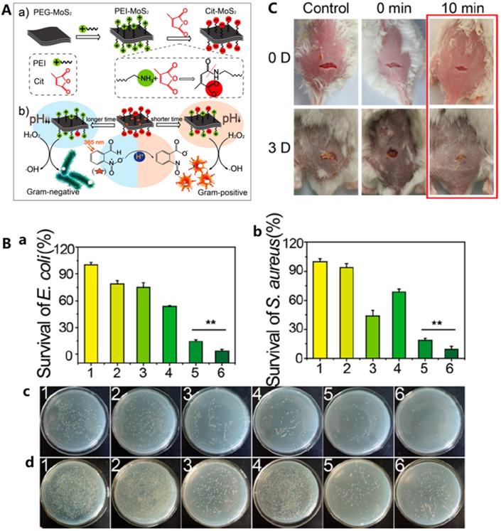 Emerging nanozyme-based multimodal synergistic therapies in combating ...