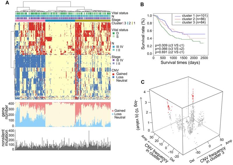 The metabolic genomic atlas reveals potential drivers and clinically ...