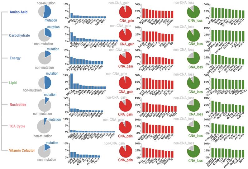 The metabolic genomic atlas reveals potential drivers and clinically ...