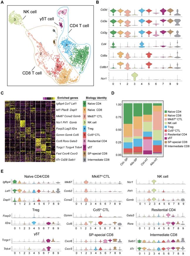 Single-Cell RNA sequencing reveals immune cell dynamics and local ...